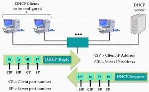 Difference Between DNS and DHCP (with Comparison Chart) - Tech Differences