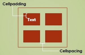 Difference Between Cellpadding and Cellspacing (with Comparison Chart ...