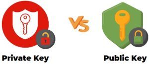 Differences Between Private and Public Key (with Comparison Chart ...